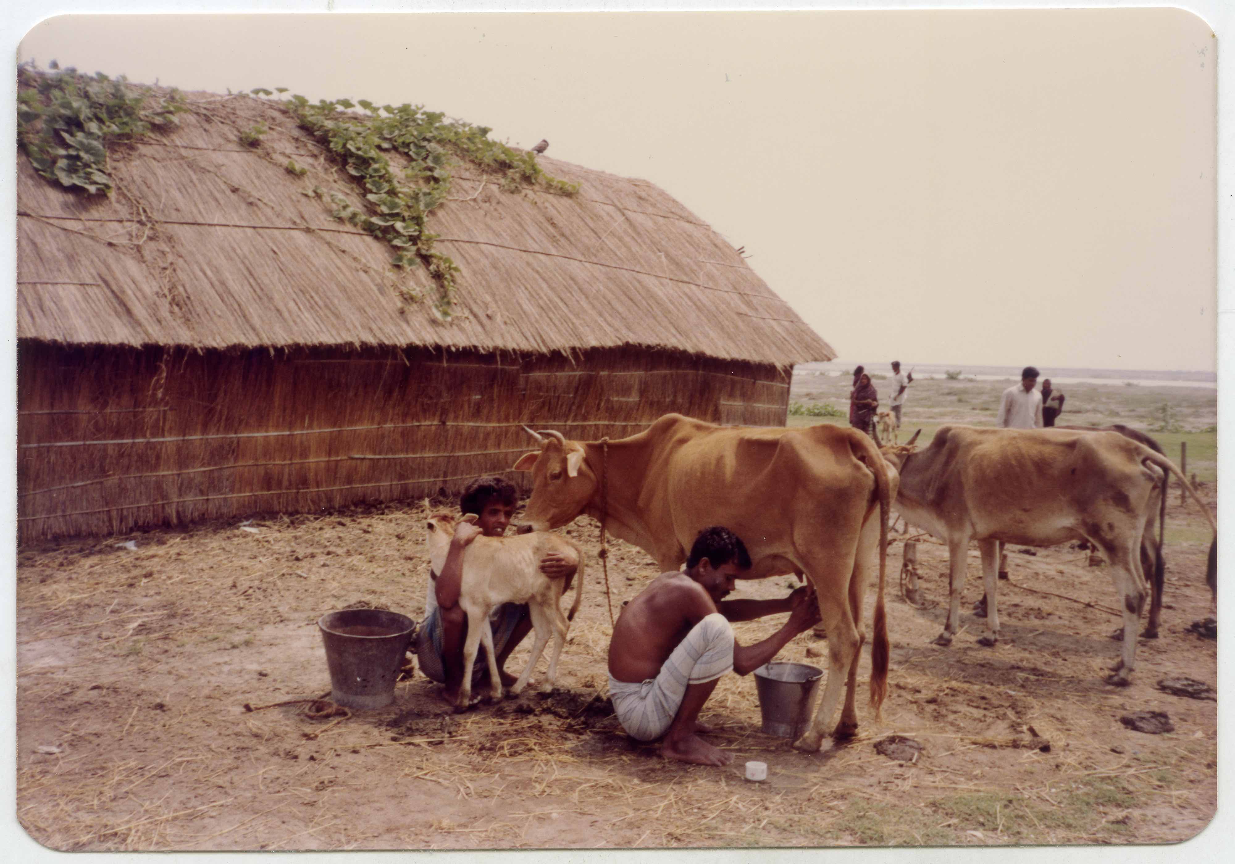 Wasif Munem · Gwaertler Stiftung